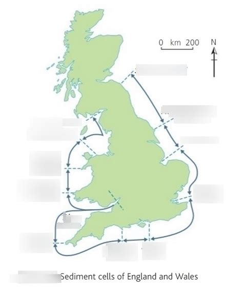 2 Sediment Cells Diagram Quizlet