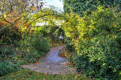 Pear Tree Cottage Garden Autumn Golds