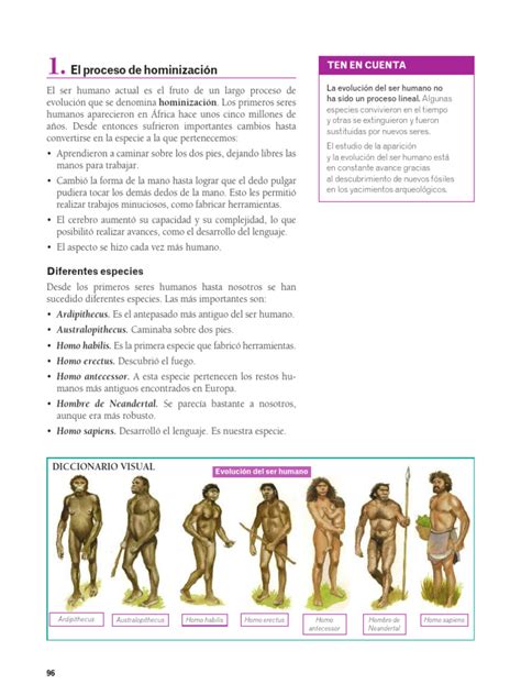 Ficha 1 Proceso De Hominización Pdf Evolución Humana Homo