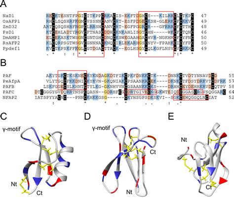 Sequence And Structure Of Plant Defensins And Fungal Afps A Alignment