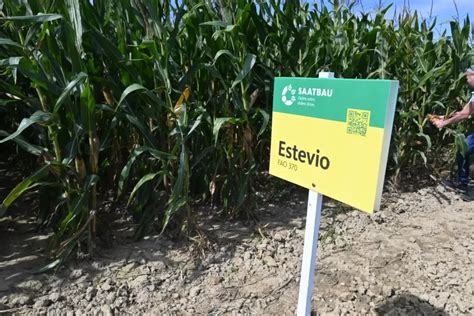 Dan Polja Saatbau Kmetija Stanislav KlemenČiČ Nova Vas Pri Ptuju Saatbau Slovenia