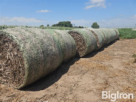 Corn Stalk Bales Agriculture Bigiron