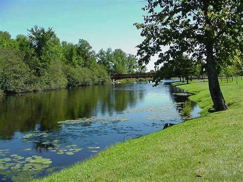 Image Grassy River Bankjpeg Wikination Fandom Powered By Wikia