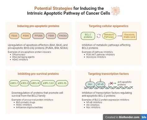 Anti Apoptotic Factors Anygenes