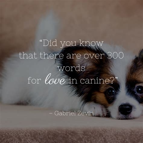 Quotes About Dogs Pet