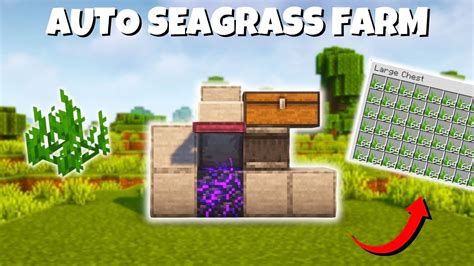 What Is Seagrass In Minecraft At Johnathan Olivar Blog