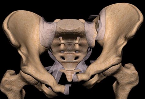 Pelvic Ring Fractures What The Orthopedic Surgeon Wants To