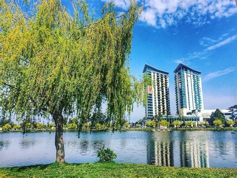 ბათუმის 6 მაისის პარკი და მისი ღირსშესანიშნაობები ინფო ბათუმი