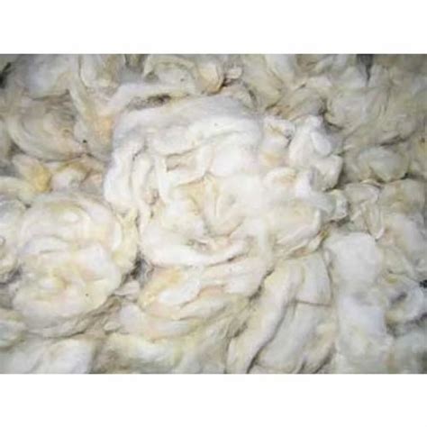 Raw Wool At Best Price In India