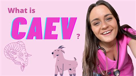What Is Caev Caprine Arthritis Encephalitis Virus Youtube