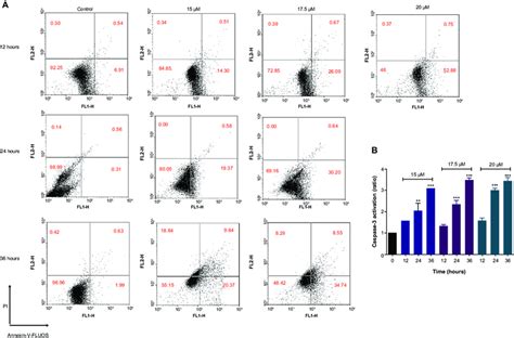 A Dendrosomal Curcumin Induced Apoptosis Using Download