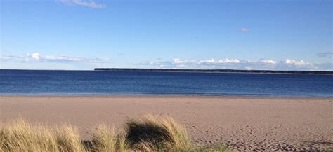 Blog 역사교사 배민