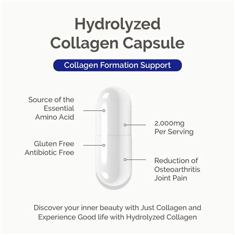 Buy Hydrolyzed Collagen Capsules Just Collagen Just Collagen