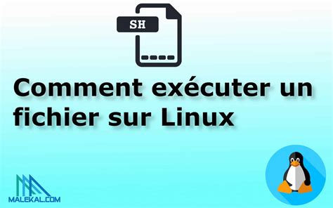 Comment Exécuter Un Fichier Sur Linux Script Shell Ou Binaire
