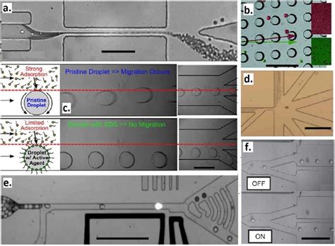 Droplet Sorting Operations A Hydrodynamic Self Sorting Of Occupied