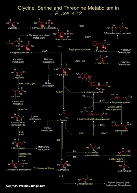 Biological Databases And Tools