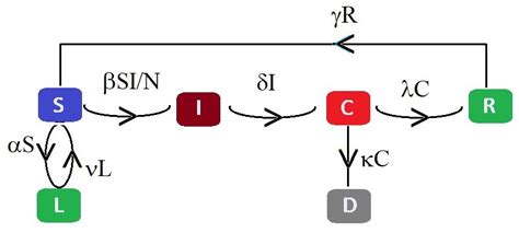 Schematic Diagram Of The Compartmental Epidemic Model Presented In