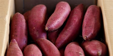 Sweet Potato Reportedly Helps Massachusetts Police Crack 2011 Todd Lampley Murder Cold Case