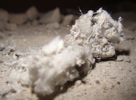 Detail Asbestos Fireproofing Debris Close Up View Of Firep Flickr