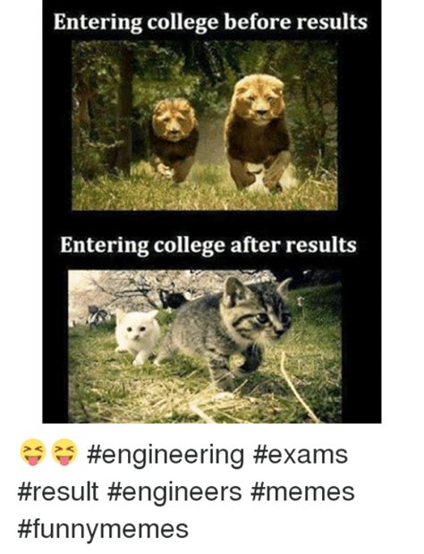 100 Brilliant Engineering Memes Funny Pictures