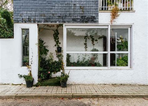 Trees Grown In The Facade Stock Image Image Of Growing 261864139