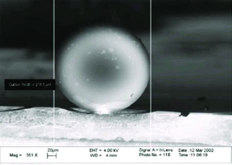 9 Sem Image Of A Gold Coated Polystyrene Sphere Mounted On An Afm