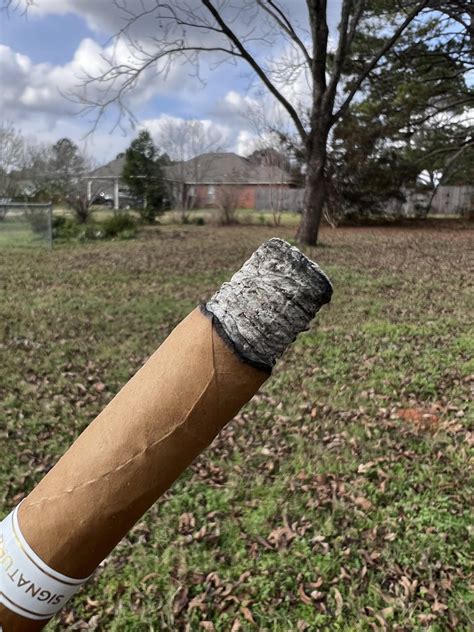 First Davidoff Signature 2000 Rcigars