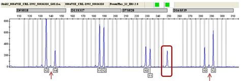 Figure Examples Of Allelic Imbalance And Assay Guidance Manual NCBI Bookshelf