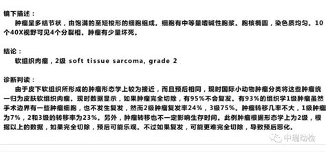 肉瘤属于恶性肿瘤吗？文献维宠宠物导航网