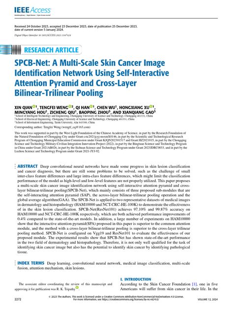 Spcb Net A Multi Scale Skin Cancer Image Identification Network Using Self Interactive Attention