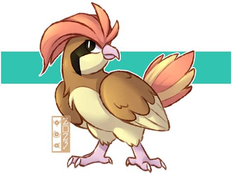 0017 Pidgeotto By Dualcosmog On Deviantart