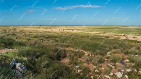 Premium Photo Migratory Lush Green Grasslands Of Etosha National Park Namibia