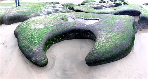 Ona Beach Rocks Oregon Coast R Pics