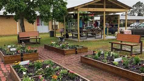 Elementary School Garden Design