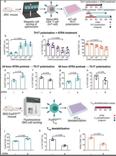 Possible New Treatment For Rheumatoid Arthritis Immunopaedia Immunopaedia