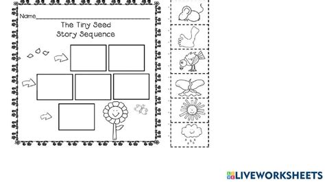 The Tiny Seed Sequencing Artofit