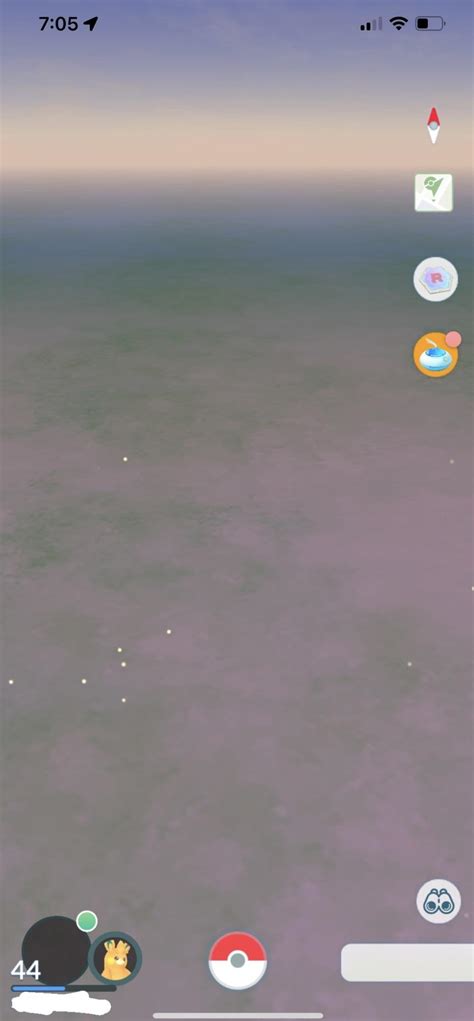Help Bug Does Not Let Me See Roads Pokémon Or Pokéstops Rpokemongo