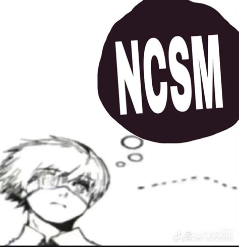 This Is A W Rizz Ncsm Moment R Ncsm