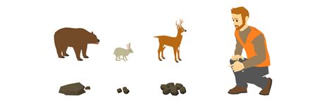 Wildlife Identification