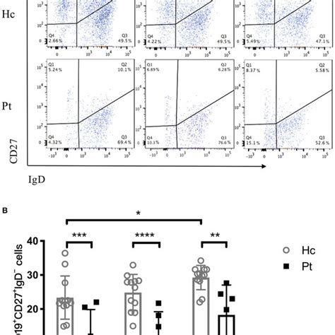 Reduced Number Of Switched Memory B Cells In Ad Hies Patients With