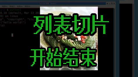 098 Python列表切片slice开始结束 哔哩哔哩 098 Python列表切片slice开始结束 哔哩哔哩