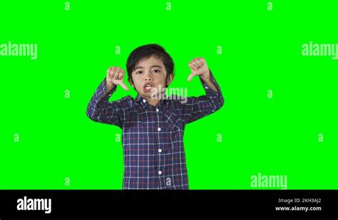 Mocking Boy Stock Videos And Footage Hd And 4k Video Clips Alamy