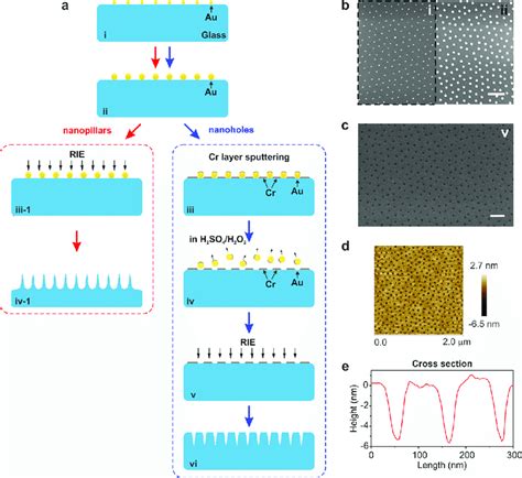 Fabrication Of The Nanohole And Nanopillar Substrates A Diagram Download Scientific Diagram