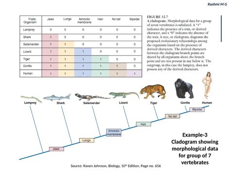 Taxonomy Introduction Levels Of Taxonomy Scientific Naming