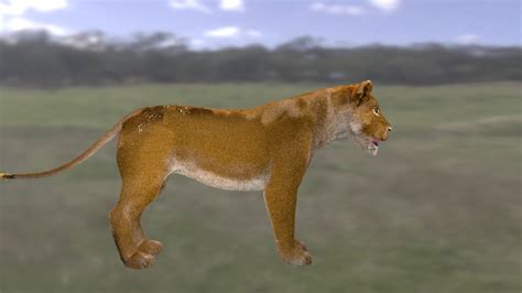 xgen fur patches autodesk community
