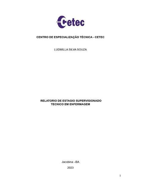 Relatorio De Enfermagem Pdf