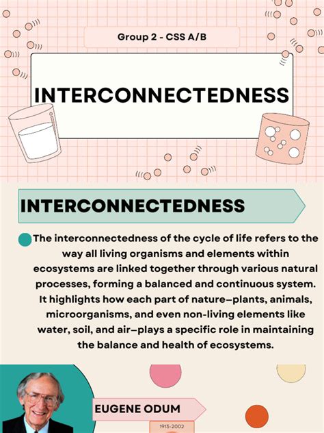 Interconnectedness Pdf