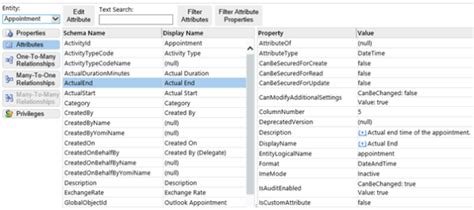Dynamics Crm 2011 Metadata Browser Magnetism Solutions Nz Auckland Wellington
