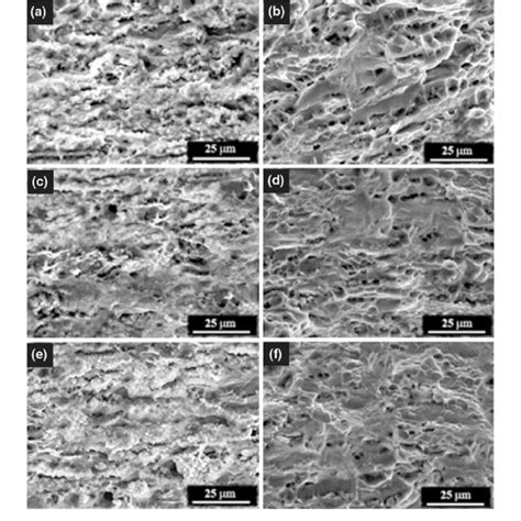 Tem Micrographs Showing Grain Boundary Precipitates Of 7075 Samples