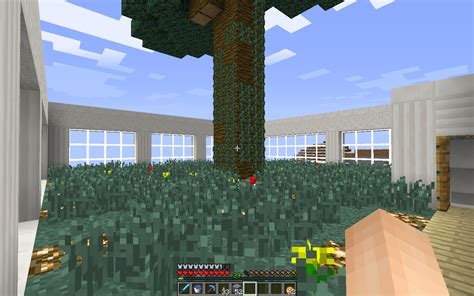 Why Do I Still Play In 164 Discussion Minecraft Java Edition